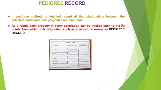 HANDLING OF SEGREGATING GENERATIONS | PPTX