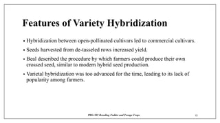 Breeding Open Pollinated Corn | PPTX