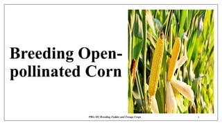 Breeding Open Pollinated Corn | PPT