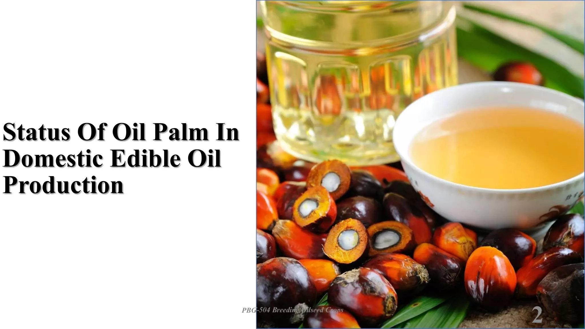 Status of Oil Plam in Domestic Edible Oil Production | PPTX