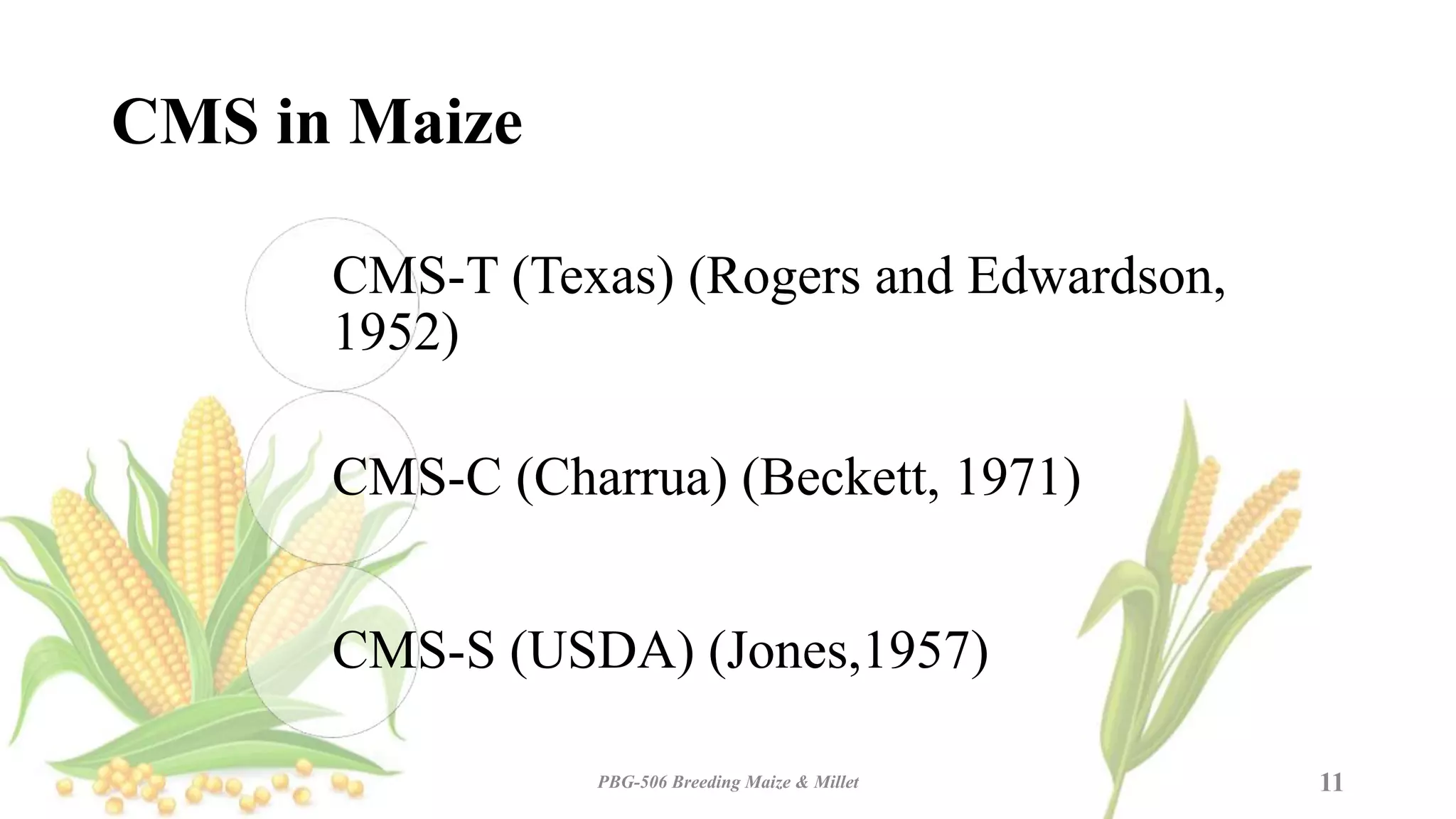 Use of Genetic Male Sterility in Hybrid Seed Production of Maize ...