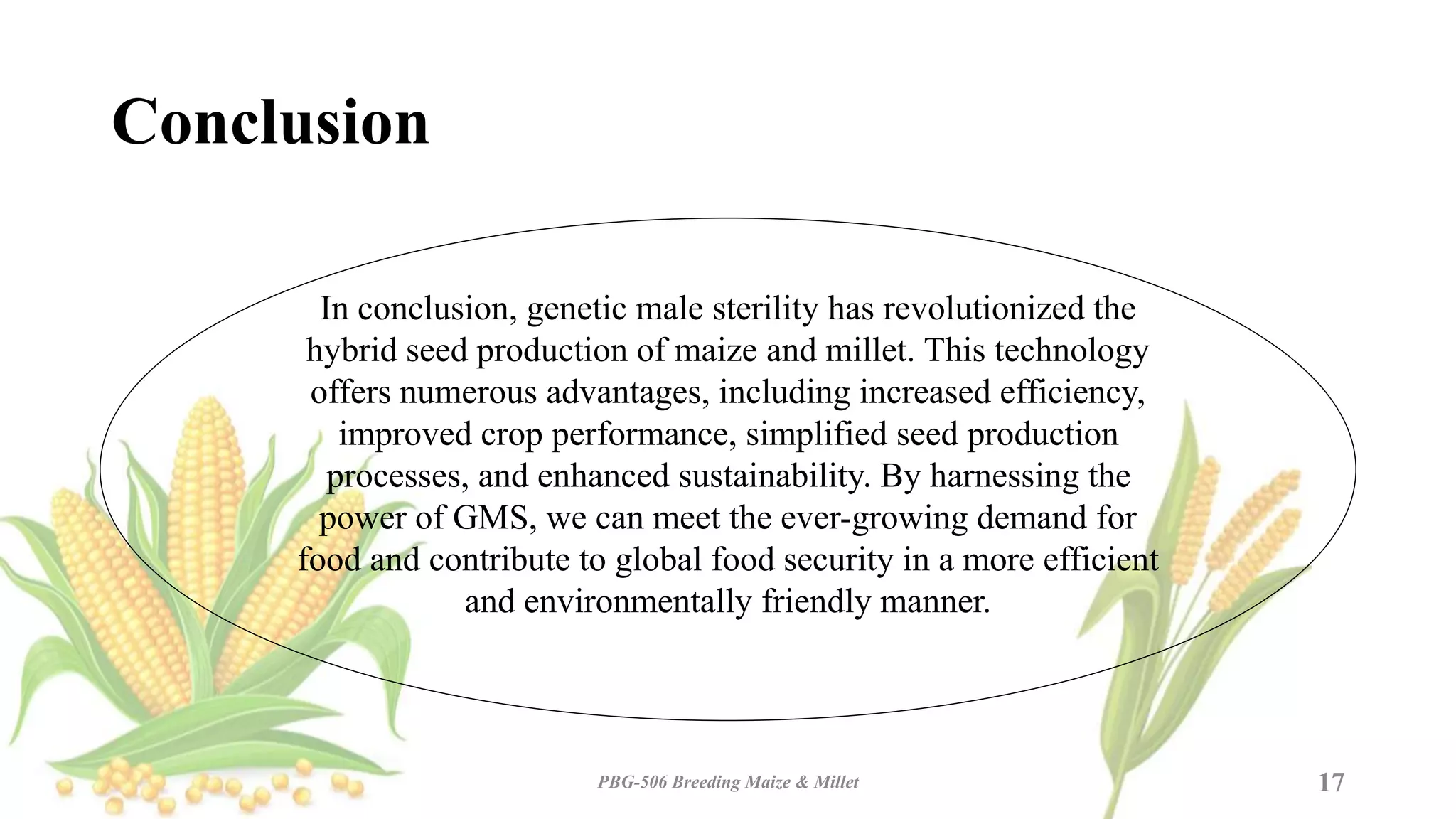 Use of Genetic Male Sterility in Hybrid Seed Production of Maize ...