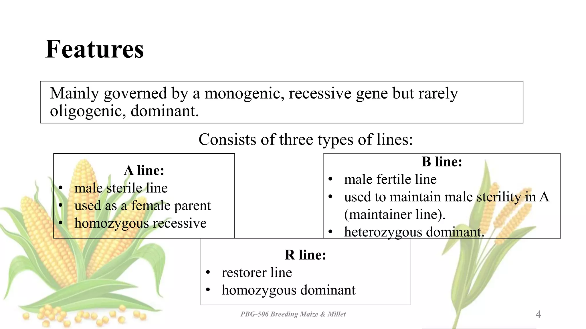 Use of Genetic Male Sterility in Hybrid Seed Production of Maize ...