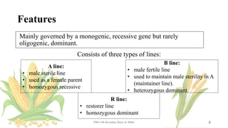Use of Genetic Male Sterility in Hybrid Seed Production of Maize ...