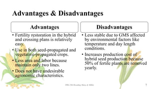 Use of Genetic Male Sterility in Hybrid Seed Production of Maize ...