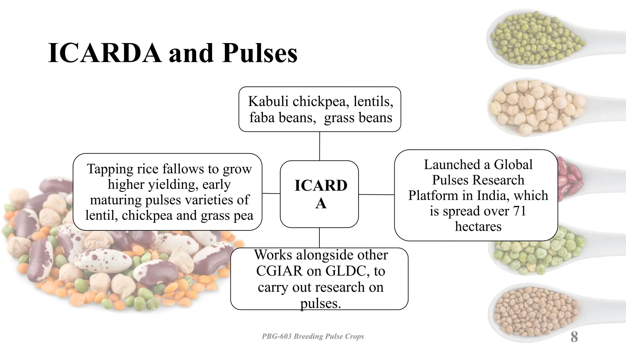 International Pulses Research Institute; Their Success Story | PPTX