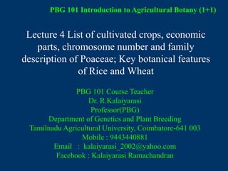 PBG 101 LECTURE 4a. RICE.pptx