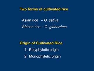 PBG 101 LECTURE 4a. RICE.pptx