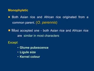 PBG 101 LECTURE 4a. RICE.pptx