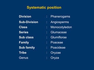 PBG 101 LECTURE 4a. RICE.pptx