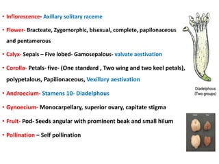 Pulses- Introduction to agricultural Botany | PPT