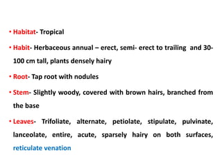 Pulses- Introduction to agricultural Botany | PPT