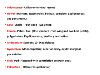 Pulses- Introduction to agricultural Botany | PPT