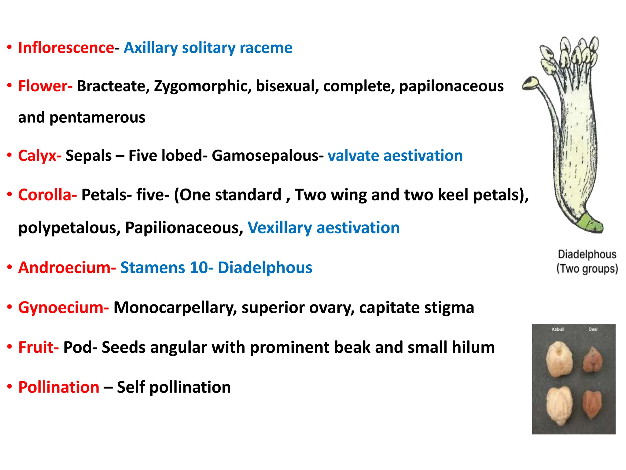 Pulses redgram - Botanical features and economic importance | PPT