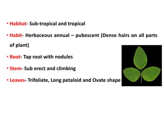 Pulses redgram - Botanical features and economic importance | PPT