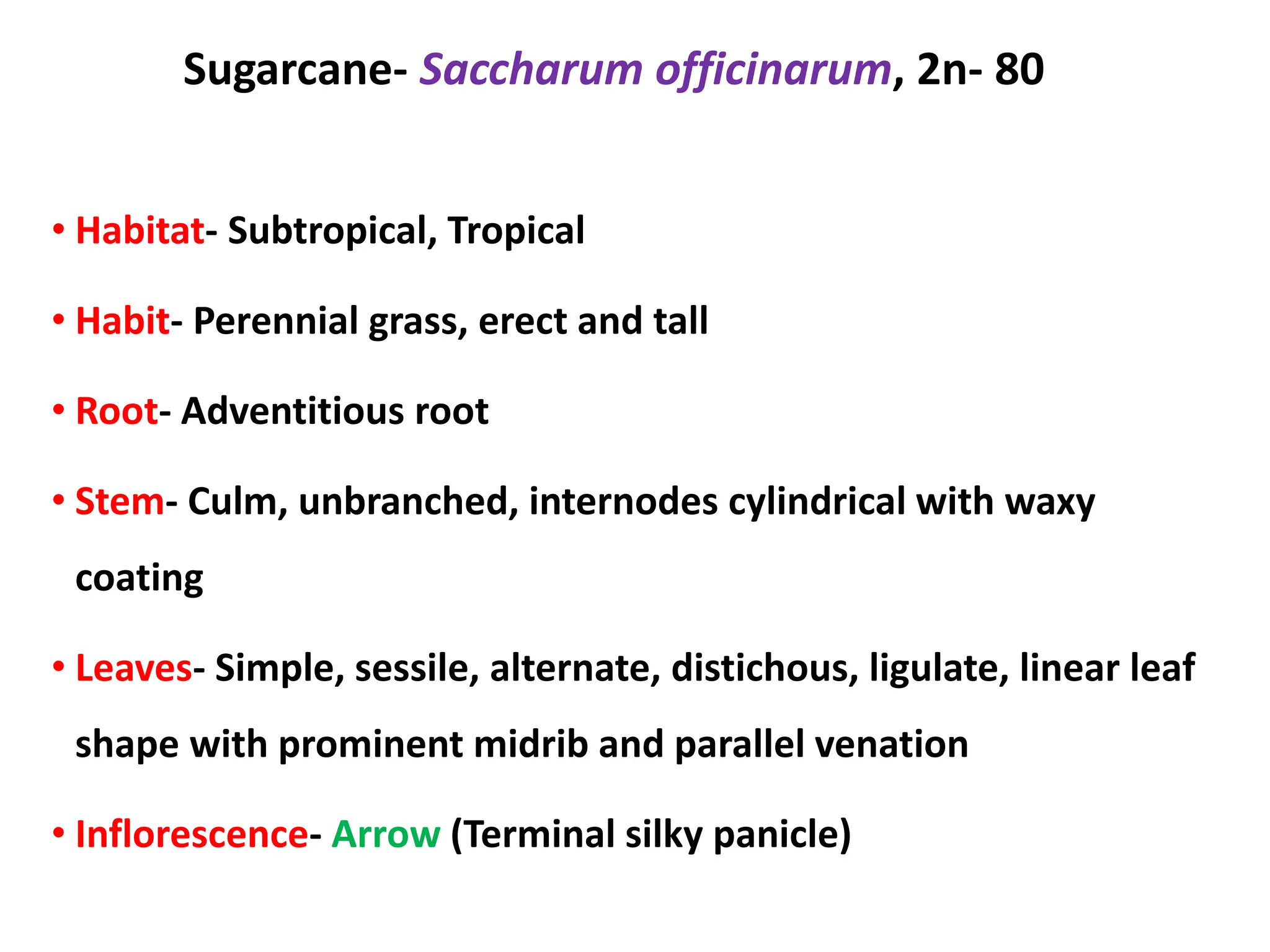 Sugarcane- Introduction to agricultural botany | PPT