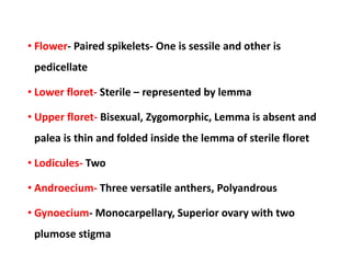 Sugarcane- Introduction to agricultural botany | PPT
