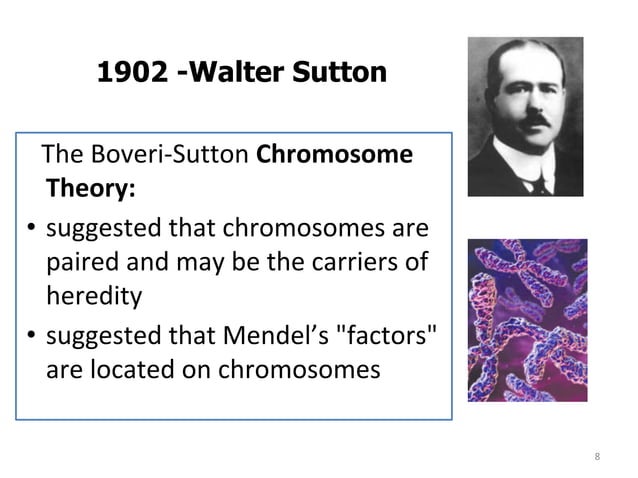 PBG 111 BASIC GENETICS BRIEF HISTORY OF GENETICS.pdf