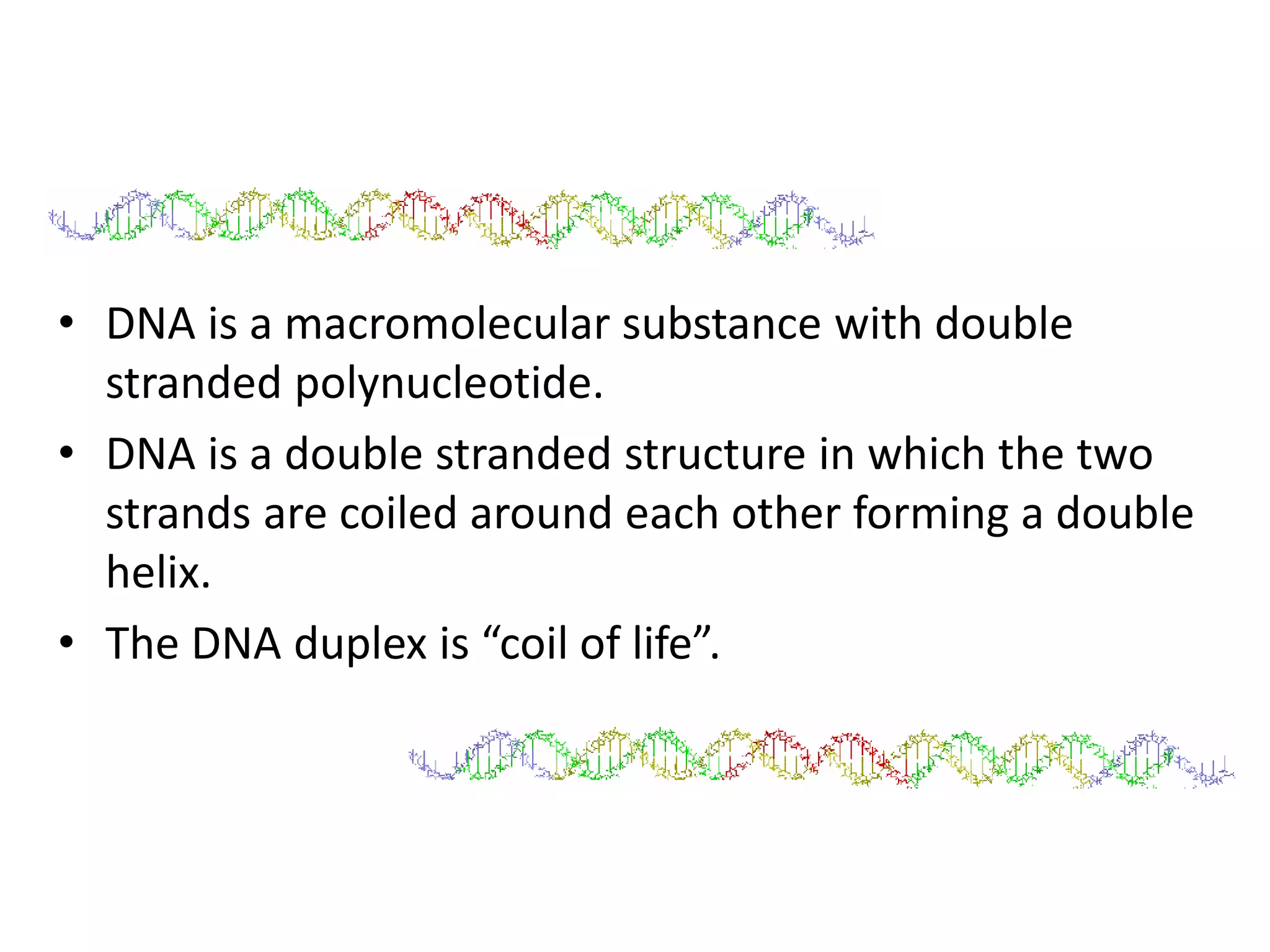 DNA structure - double helix structure | PPTX