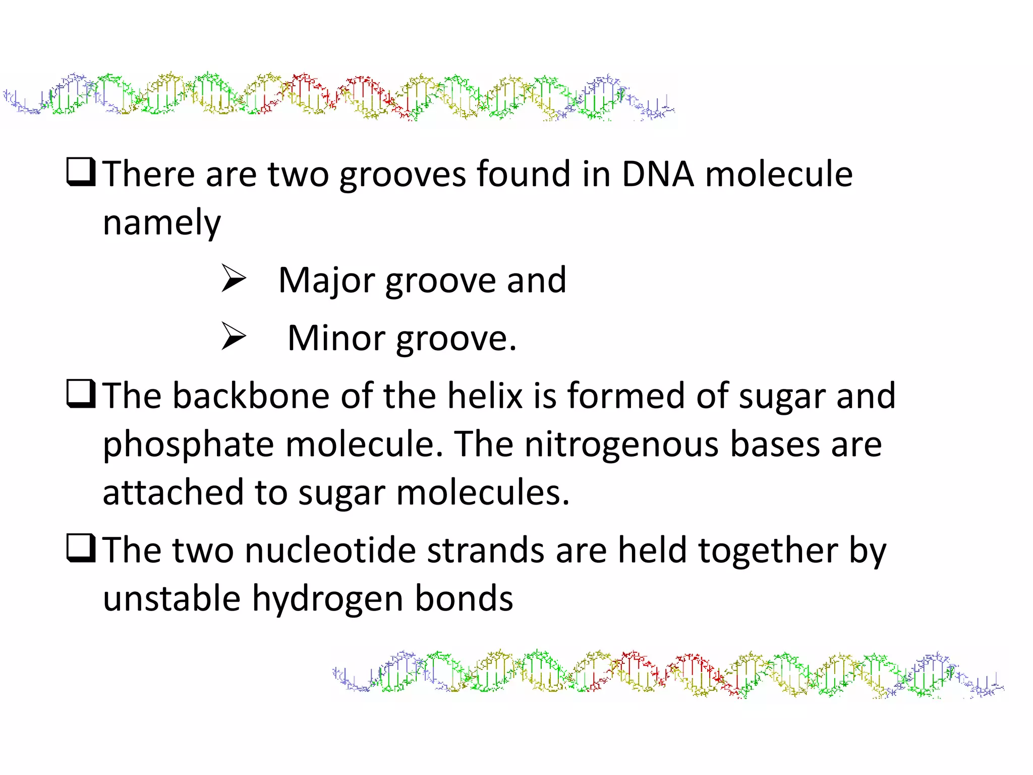 DNA structure - double helix structure | PPTX