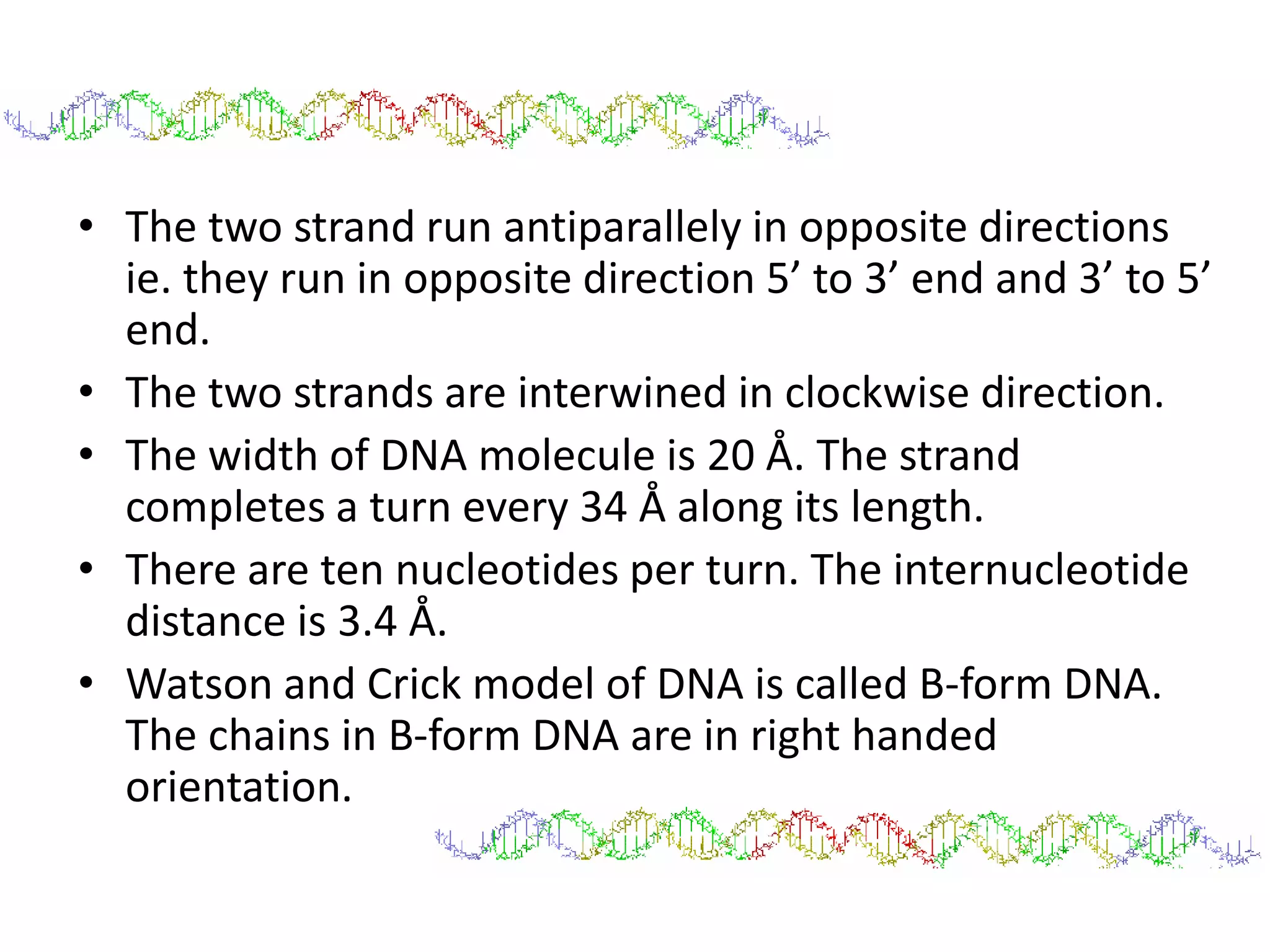 DNA structure - double helix structure | PPTX