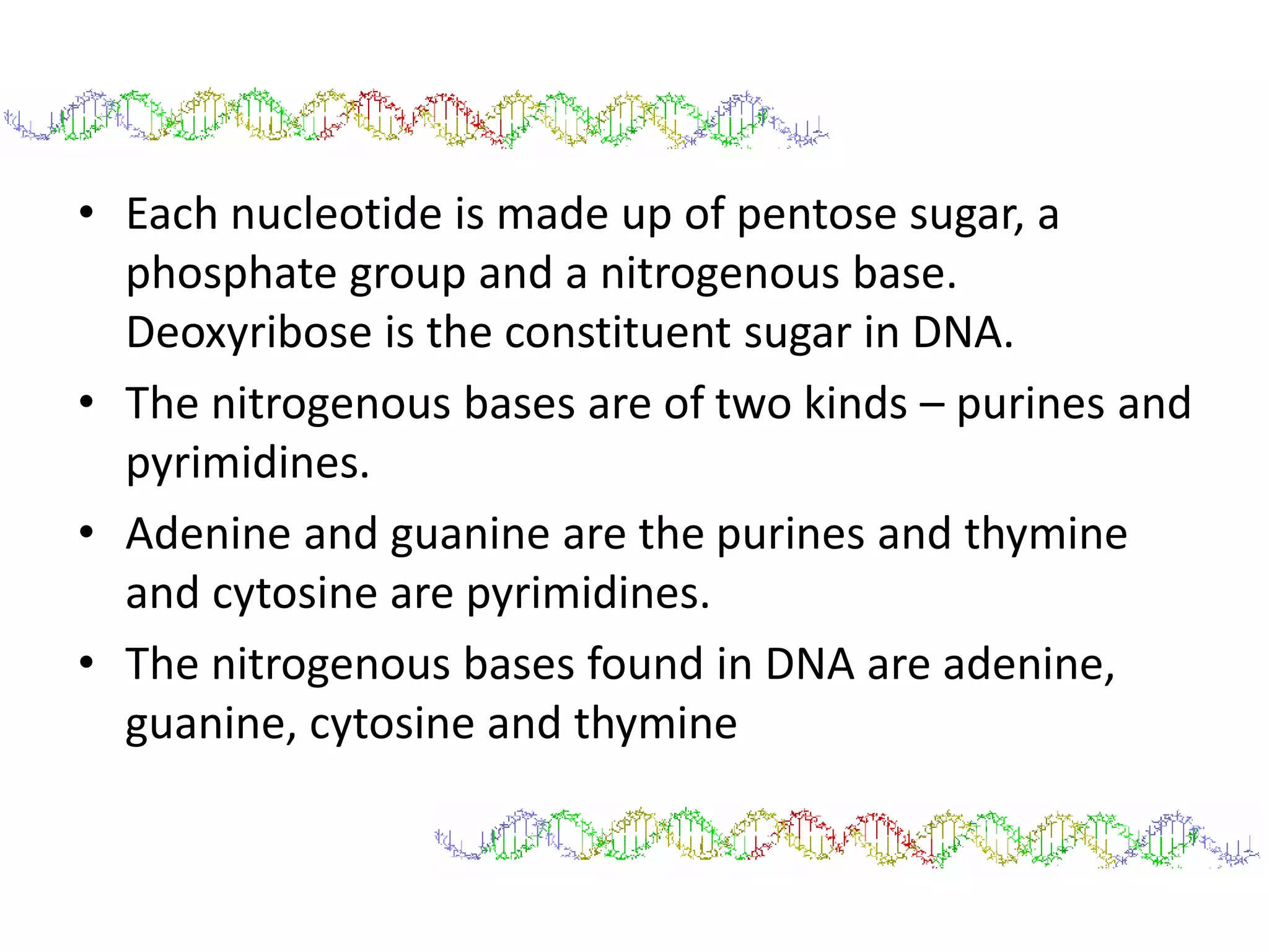DNA structure - double helix structure | PPTX