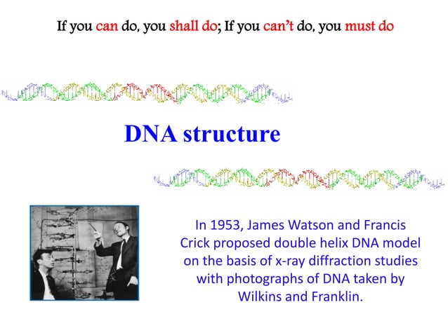 DNA structure - double helix structure | PPTX