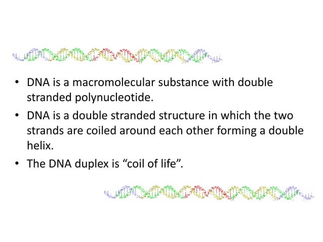 DNA structure - double helix structure | PPTX