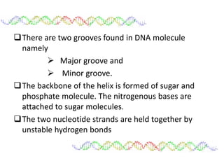 DNA structure - double helix structure | PPTX