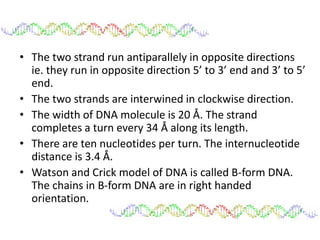 DNA structure - double helix structure | PPTX
