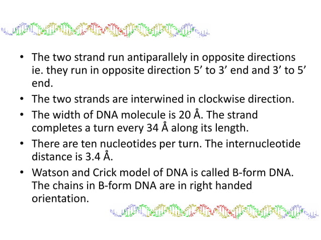 DNA structure - double helix structure | PPTX
