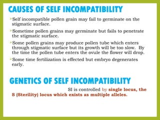 Gametophytic self incompatibility - Pollination.ppt