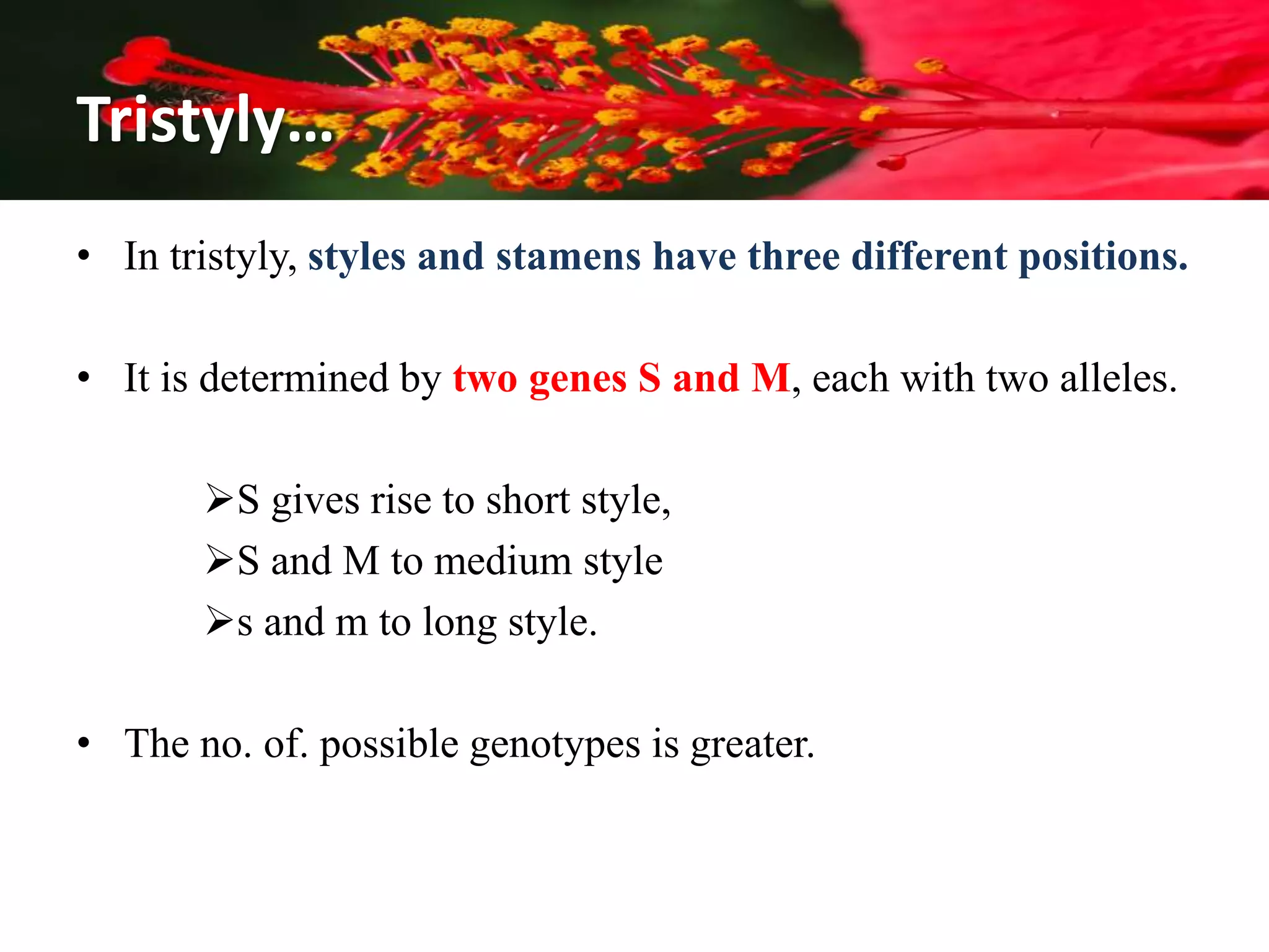 Self Incompatibility Barriers | PPTX