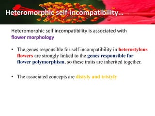 Self Incompatibility Barriers | PPTX