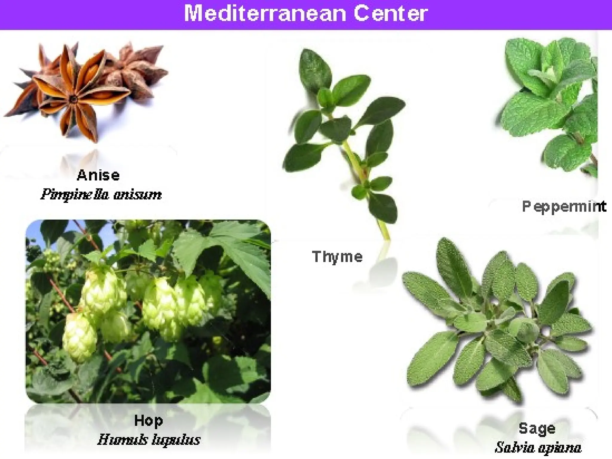 PBG 301 Lecture 2.pptx plant breeding and genetics | PPTX