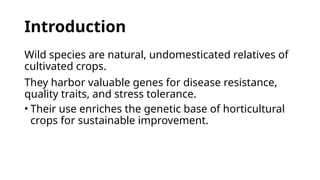 Exploitation of Wild Species in Crop Improvement in Horticultural Crops ...