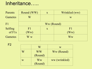 PBG 507-Lecture 1 (1).ppt.Qualitative and quantitative characters of ...