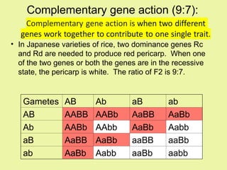 PBG 507-Lecture 1 (1).ppt.Qualitative and quantitative characters of ...