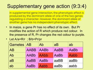 PBG 507-Lecture 1 (1).ppt.Qualitative and quantitative characters of ...