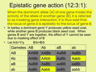 PBG 507-Lecture 1 (1).ppt.Qualitative and quantitative characters of ...