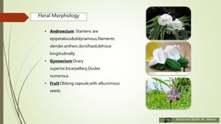 Pbg assignment (1) | PPT