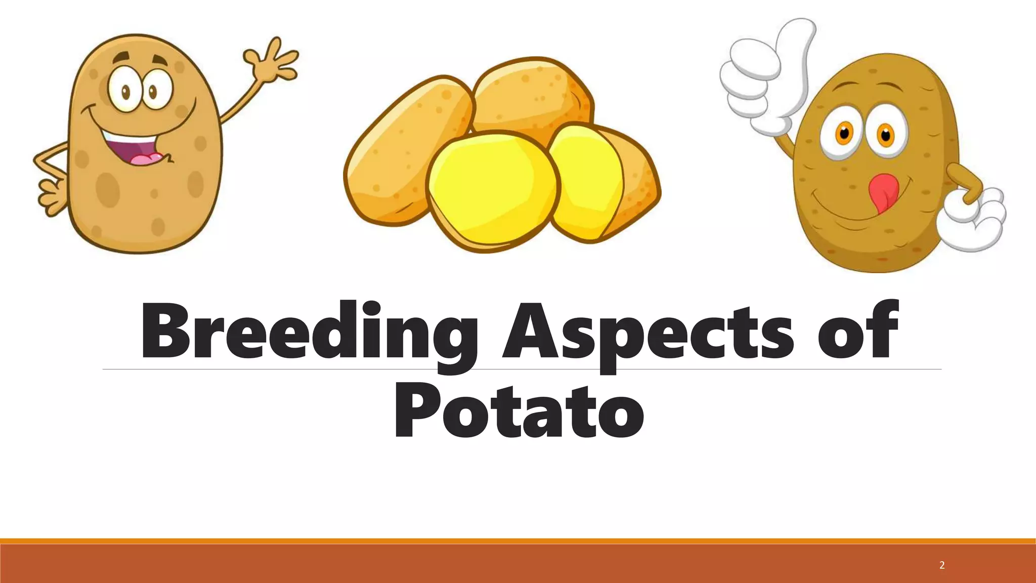 Potato Caulilflower And Cabbage Breeding Pptx