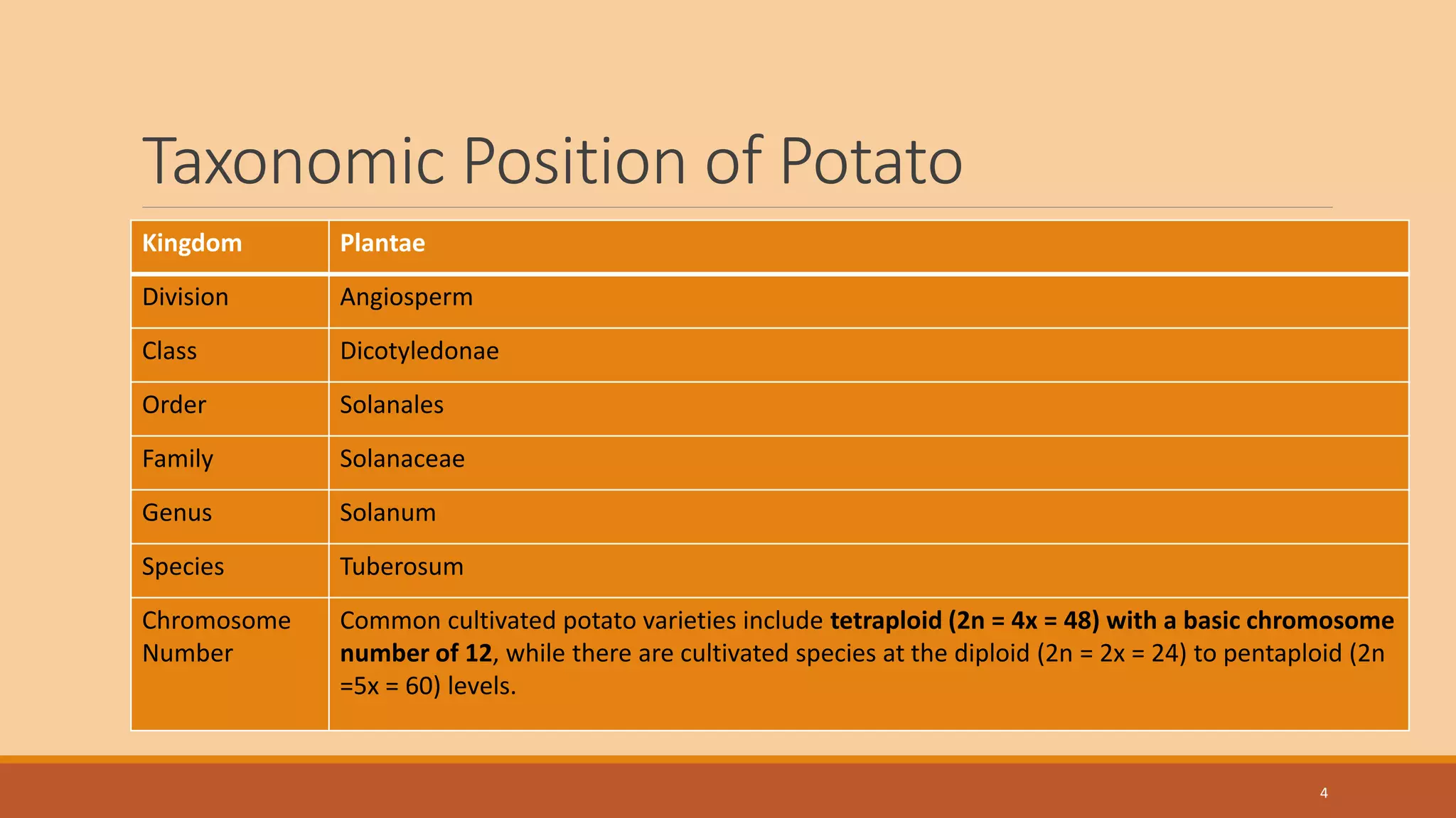 potato, caulilflower and cabbage breeding .pptx