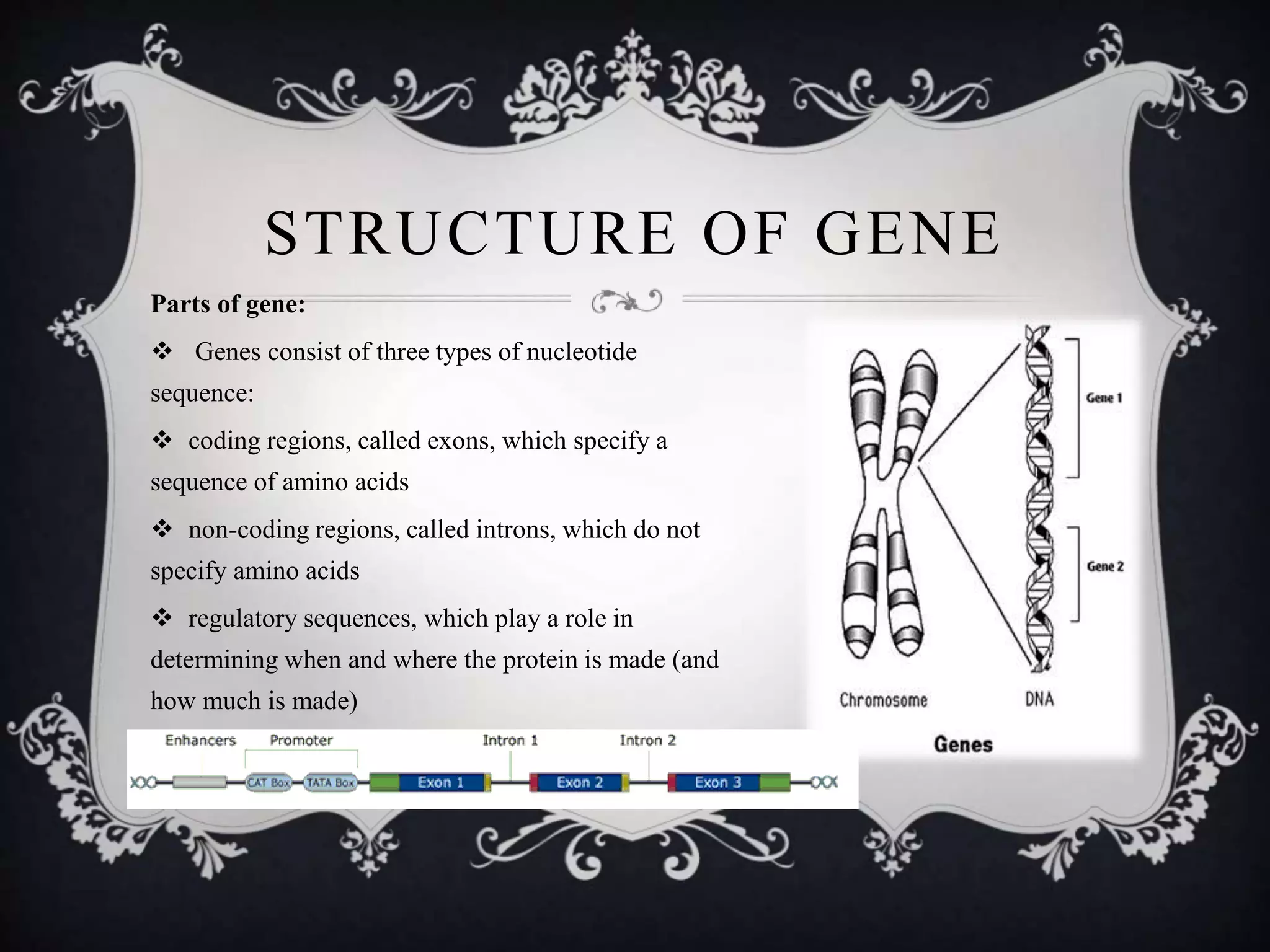 Modern Concept of Gene | PPTX