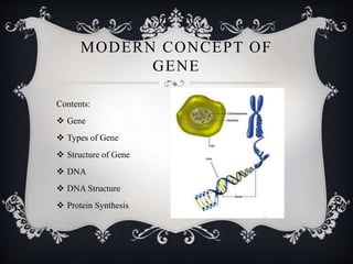 Modern Concept of Gene | PPTX
