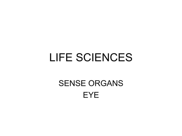 SENSE ORGAN, SEEING COLOUR | PPT