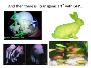 PBIO4500 Animal Genetic Engineering.ppt