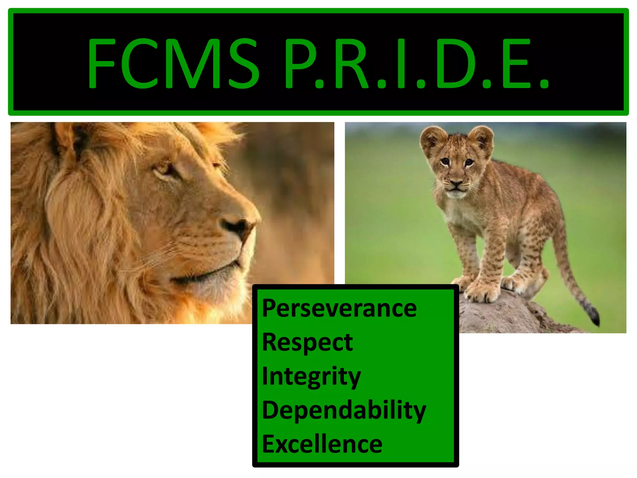 Pbis for students | PPTX
