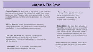 Understanding Behavior & Functions of Behavior | PPTX
