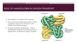 PBL-1.pptx | Blood Disorders | Diseases and Conditions